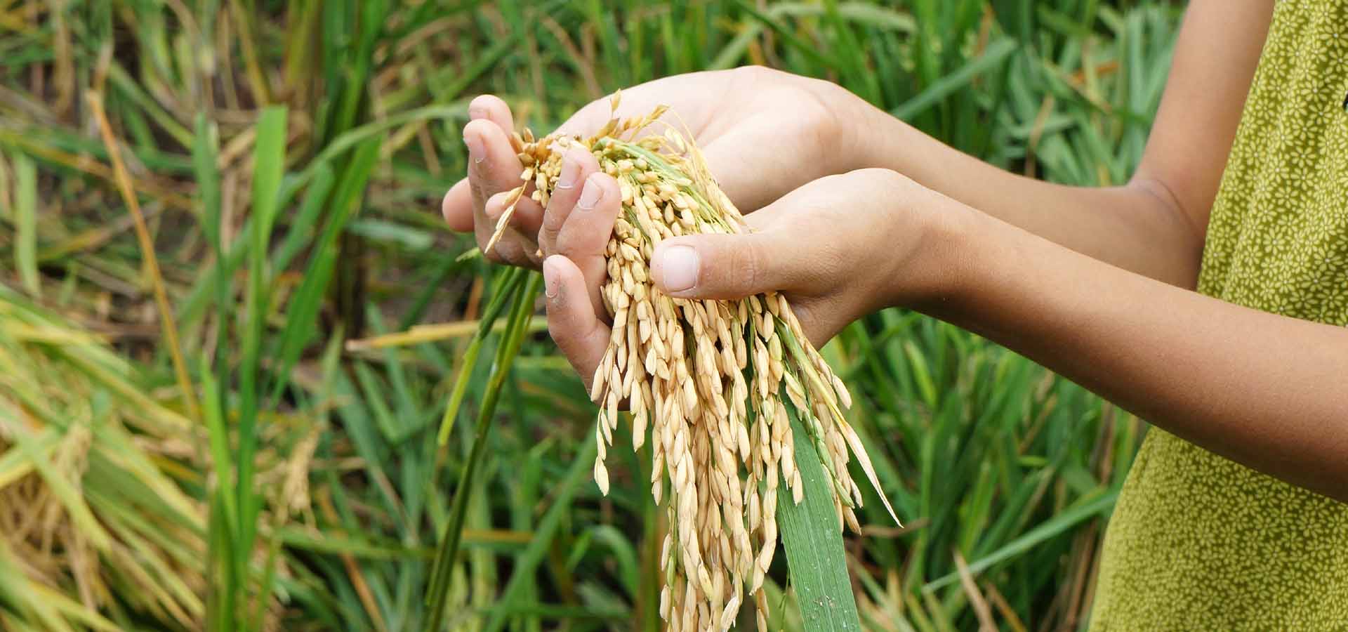 Food Security and Sustainability Training Course | GLOMACS